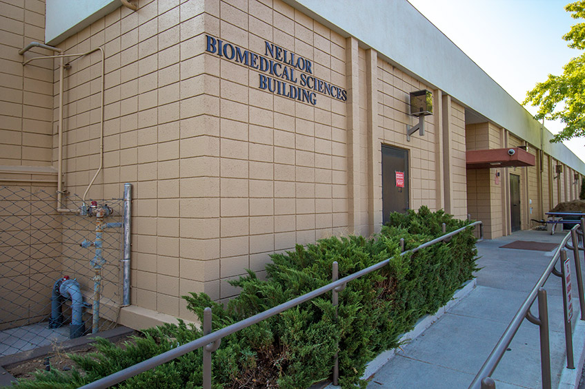 Nellor Biomedical Sciences | Around Campus | University of Nevada, Reno