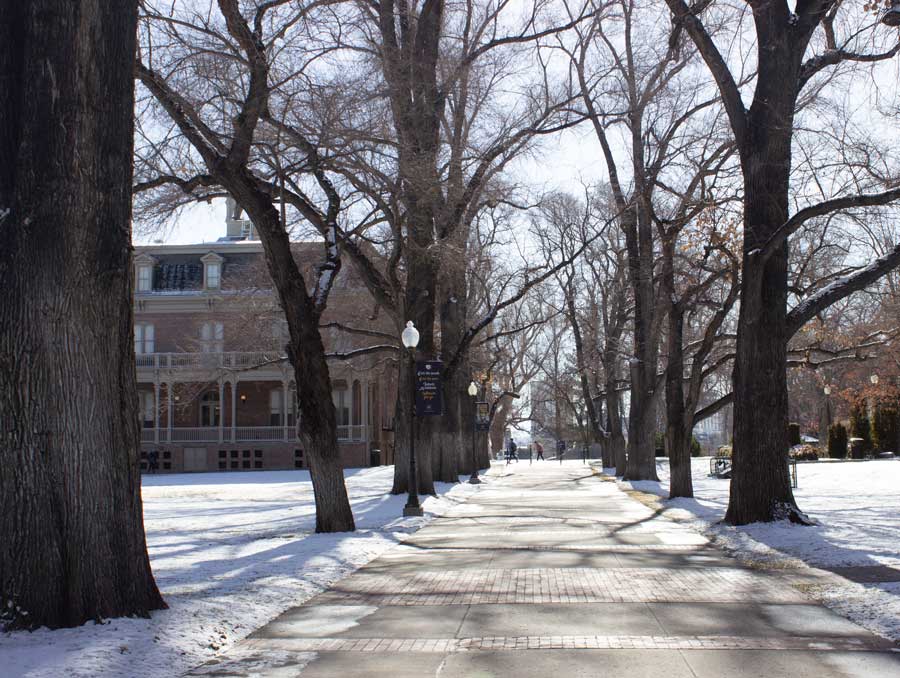 Diversity, equity, inclusion... social justice and democracy ...