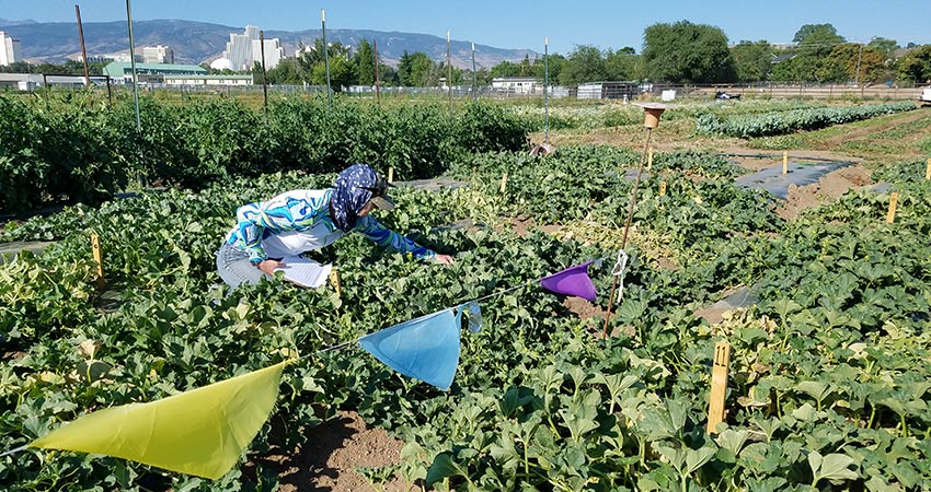 College of Agriculture, Biotechnology & Natural Resources | University ...