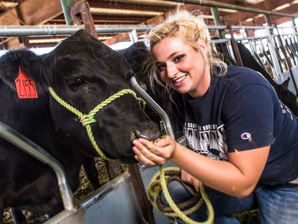 Bachelor's Degree in Veterinary Science | Degrees & Programs ...