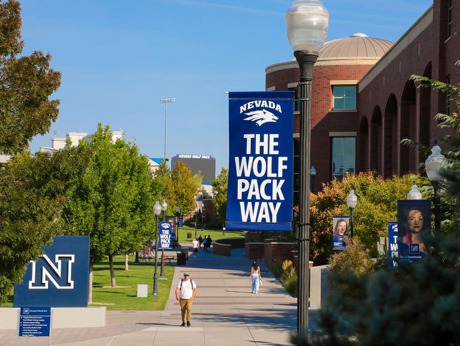 Unr Wolfpack Wolf